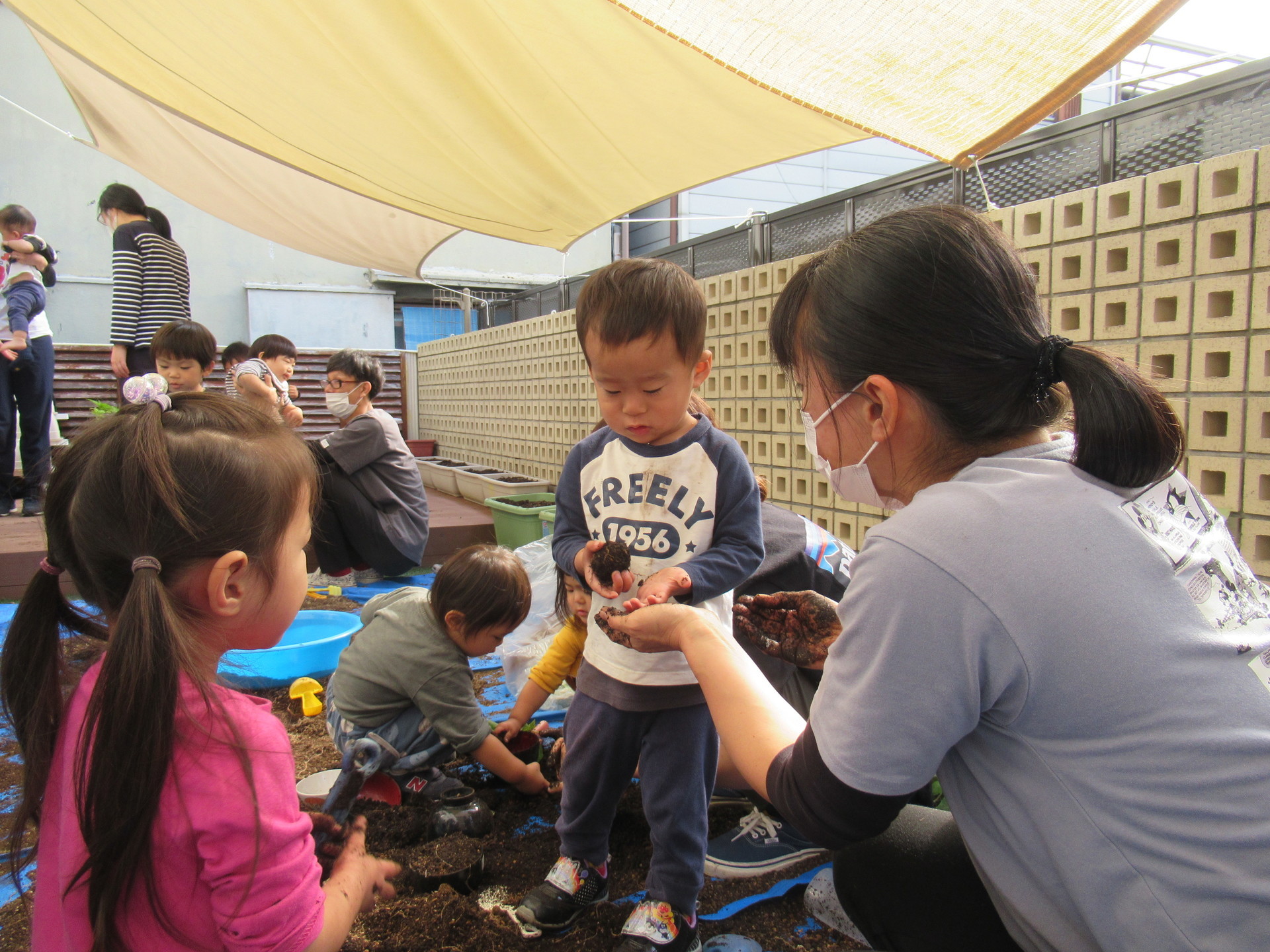 さつま芋収穫したよ ぞうぐみ: NPO法人きらりっこ ぷちはうすキララ保育園