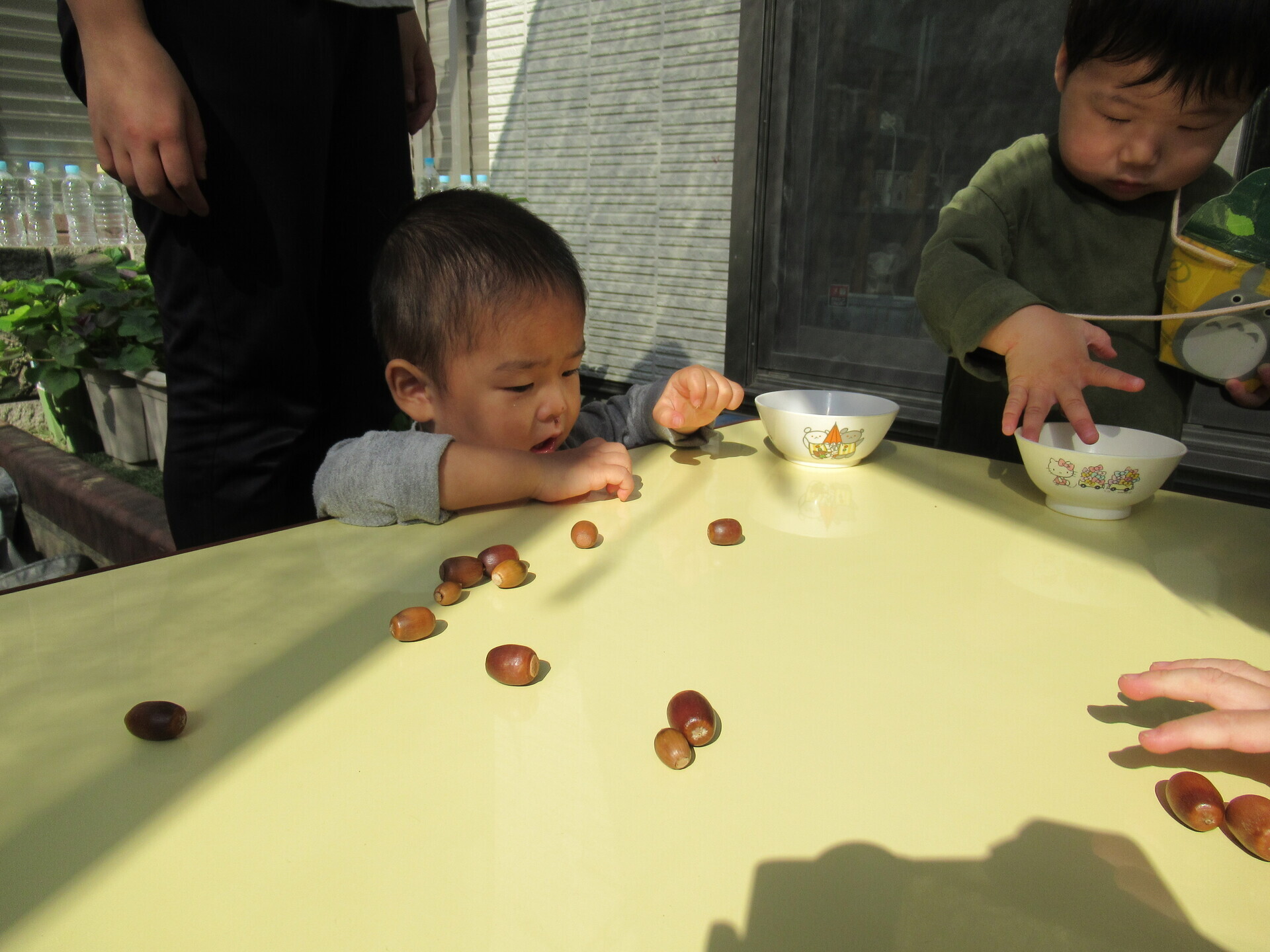 うさぎ組＊どんぐり拾いしたよ＊: NPO法人きらりっこ ぷちはうすキララ保育園